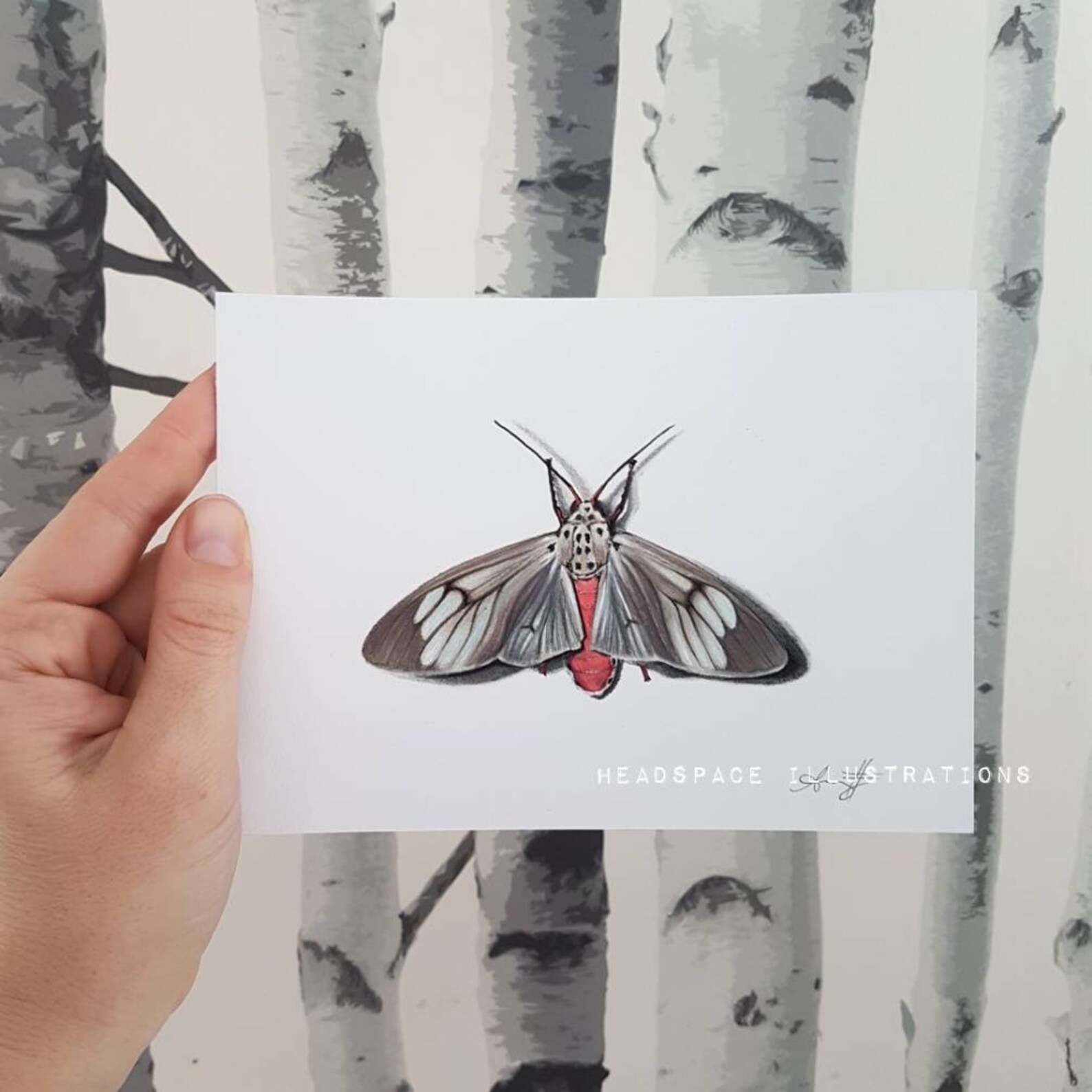 ORIGINAL 5x7 Pink Gray Moth Colored Pencil Art by Headspace - Etsy