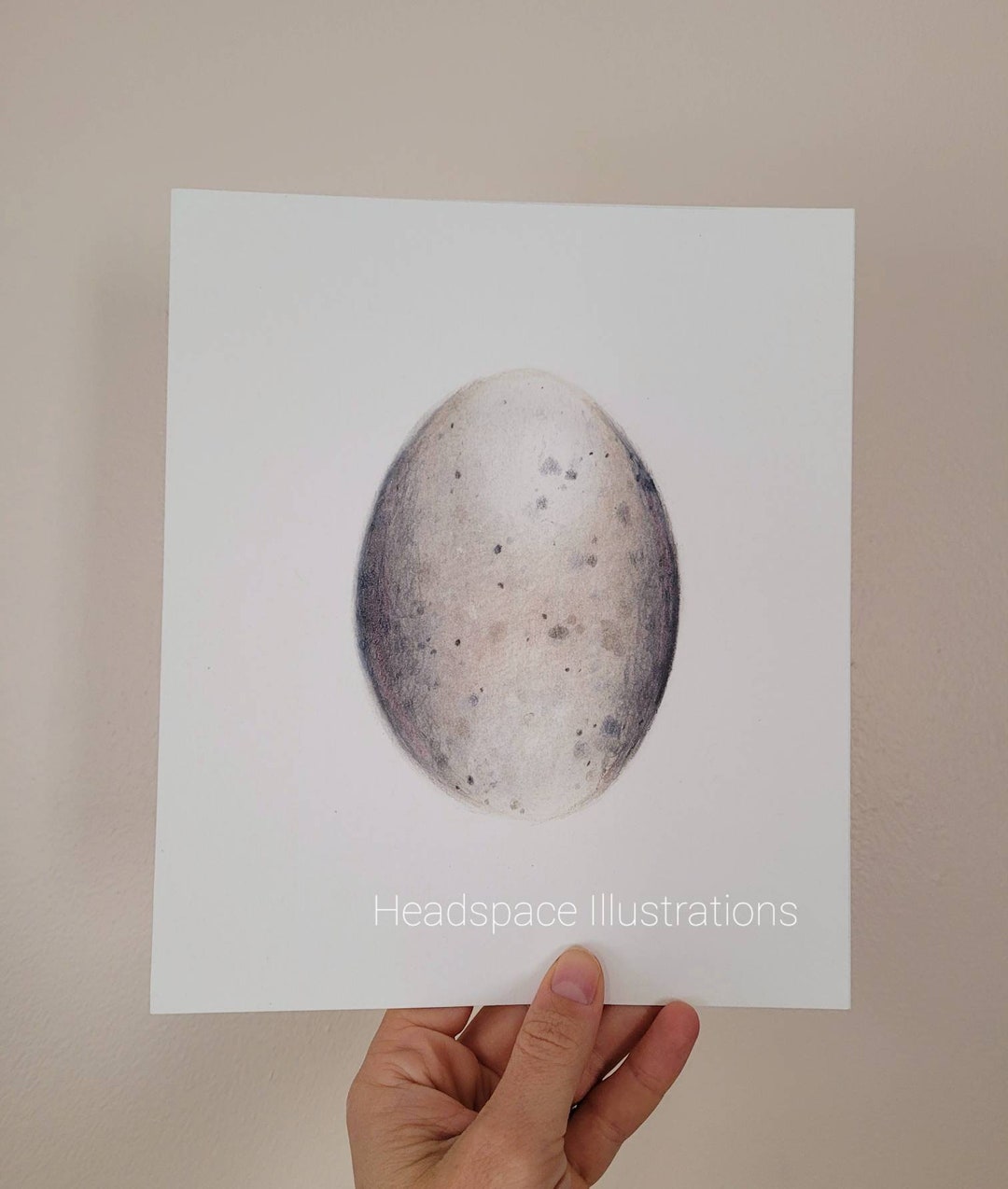 ORIGINAL 8x9 Blue Jay Bird Egg Colored Pencil Art by Headspace ...