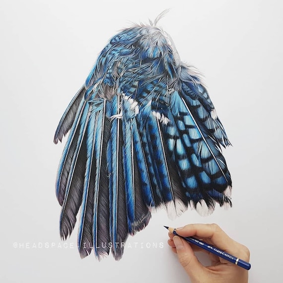 Bird With Broken Wing Art