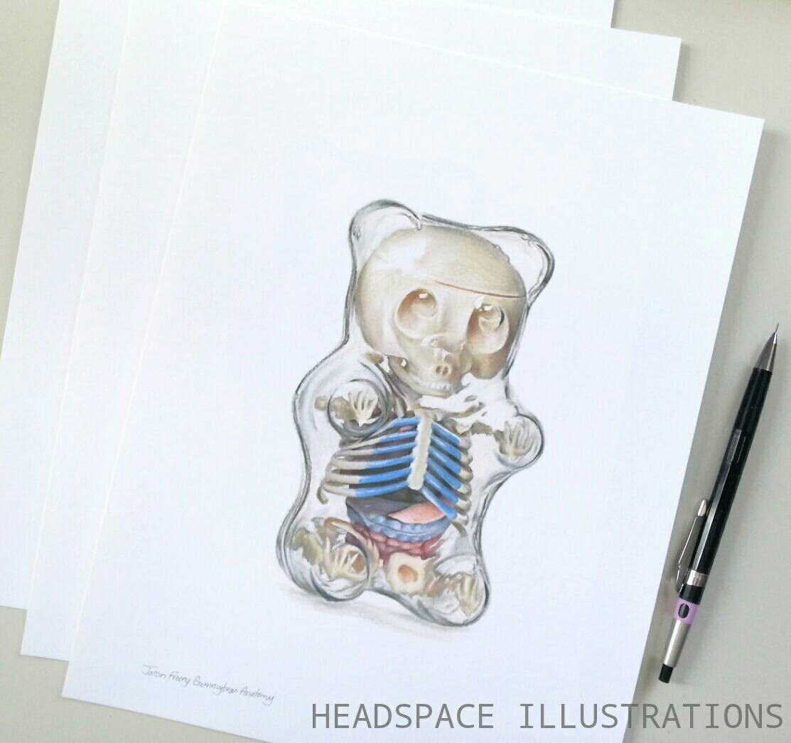 Gummybear Anatomy Jason Freeney Colored Pencil Art Print by | Etsy