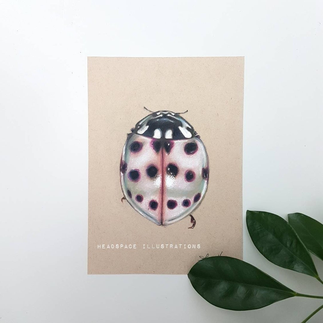 ORIGINAL 5x7 Pink Ladybug Colored Pencil by Headspace Illustrations - Etsy