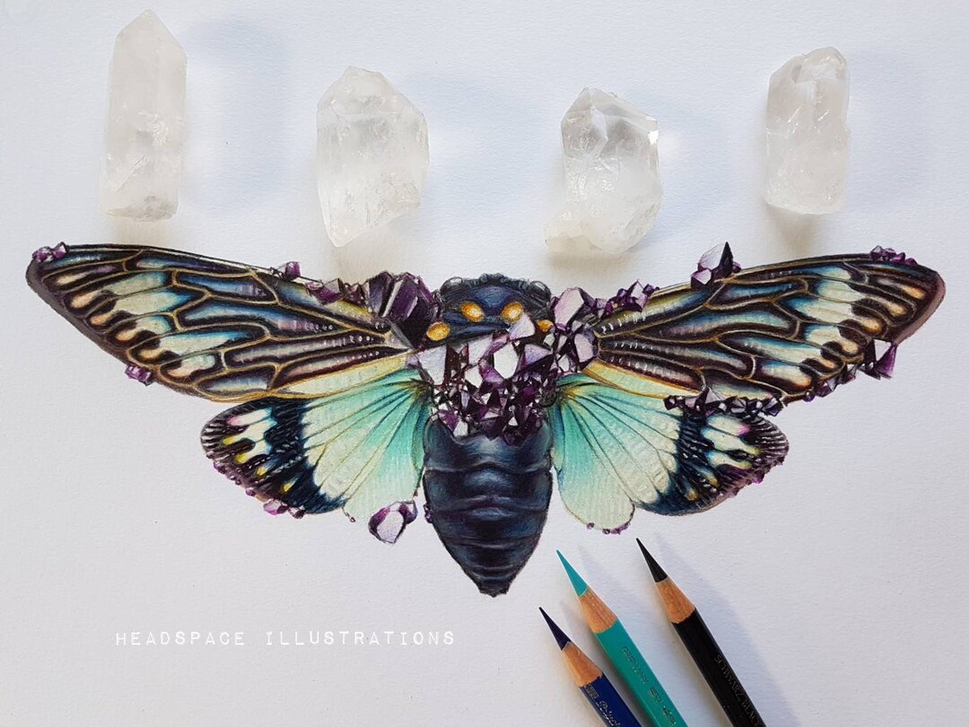 Crystal Cicada With Hand Painted Gold Colored Pencil Insect Tyler ...