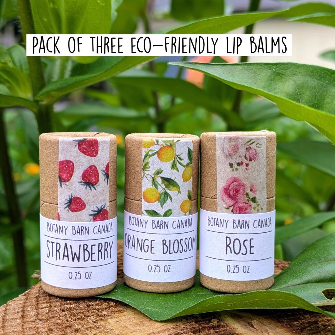 Organic Lip Balm Set of 3: Eco-friendly Tubes, Natural Botanical ...