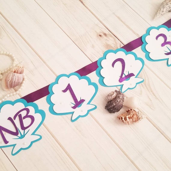 12 Month Banner Seashell Banner Under the Sea Banner Under | Etsy