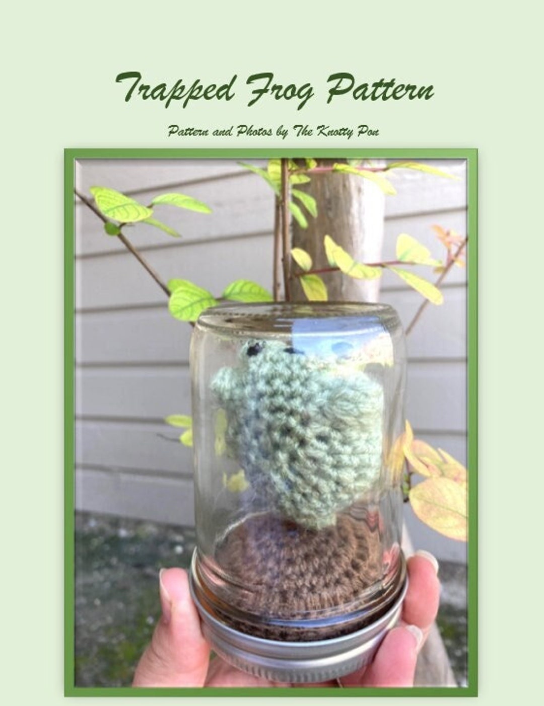Trapped Frog Crochet Pattern - Etsy