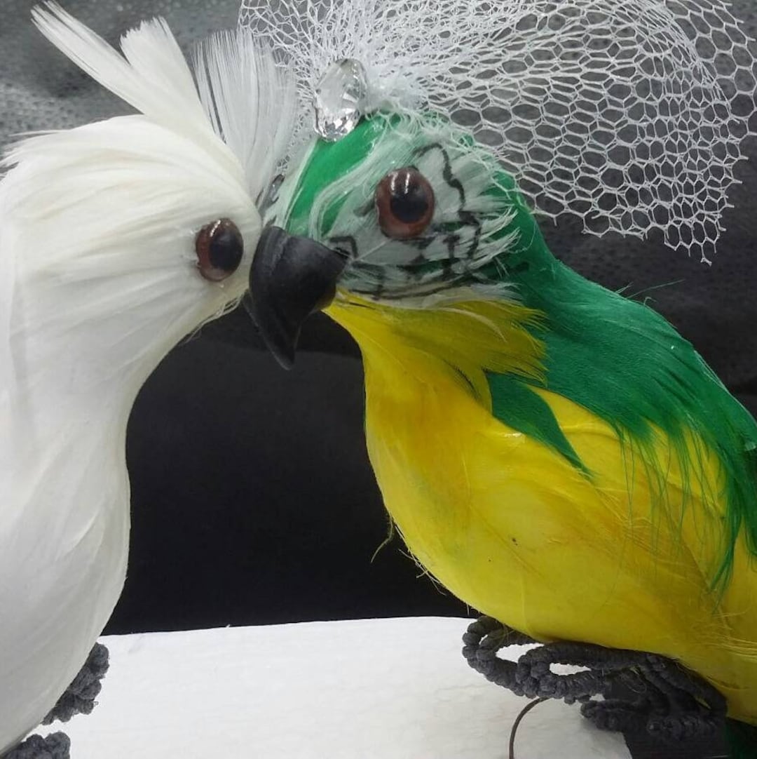 Wedding Cake Topper, Centerpiece, Two Parrot Birds With Real Feathers ...