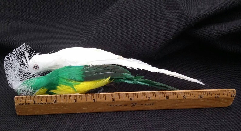 Wedding Cake Topper Centerpiece Two Parrot Birds With Real - Etsy