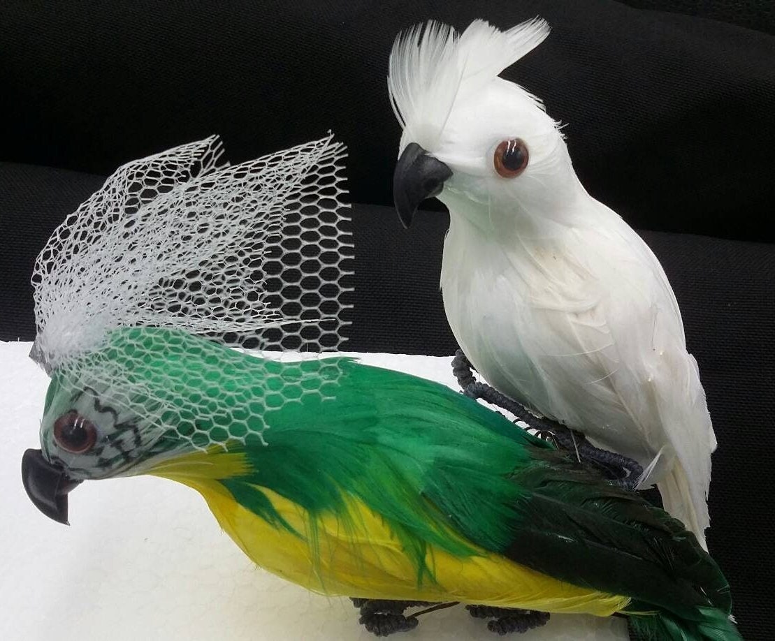 Wedding Cake Topper, Centerpiece, Two Parrot Birds With Real Feathers ...