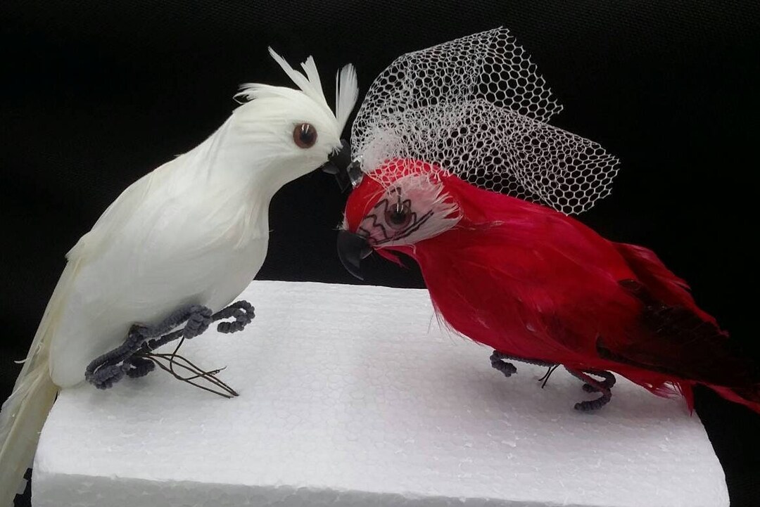Wedding Cake Topper Centerpiece Two Parrot Birds With Real - Etsy