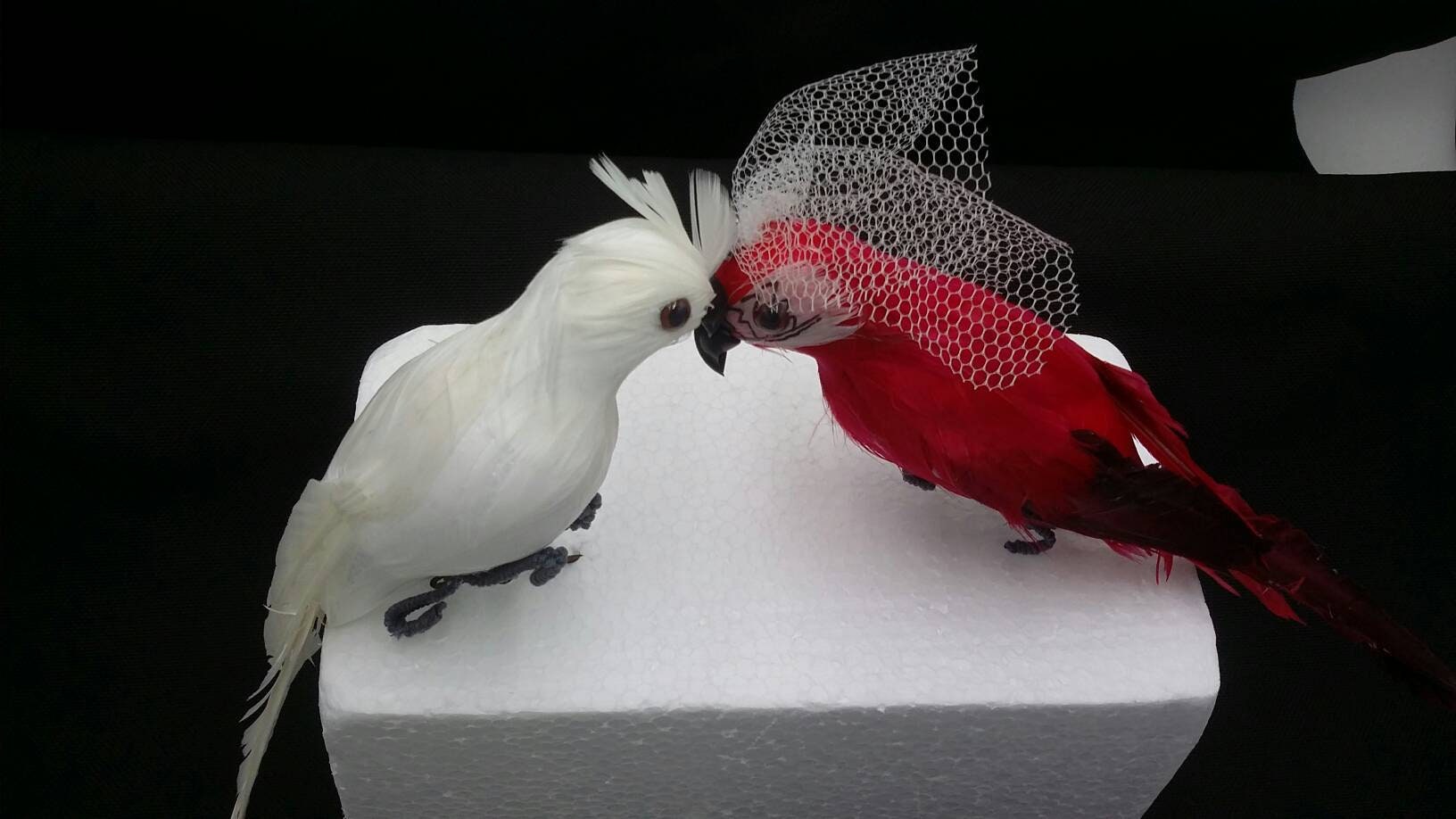 Wedding Cake Topper Centerpiece Two Parrot Birds With Real - Etsy