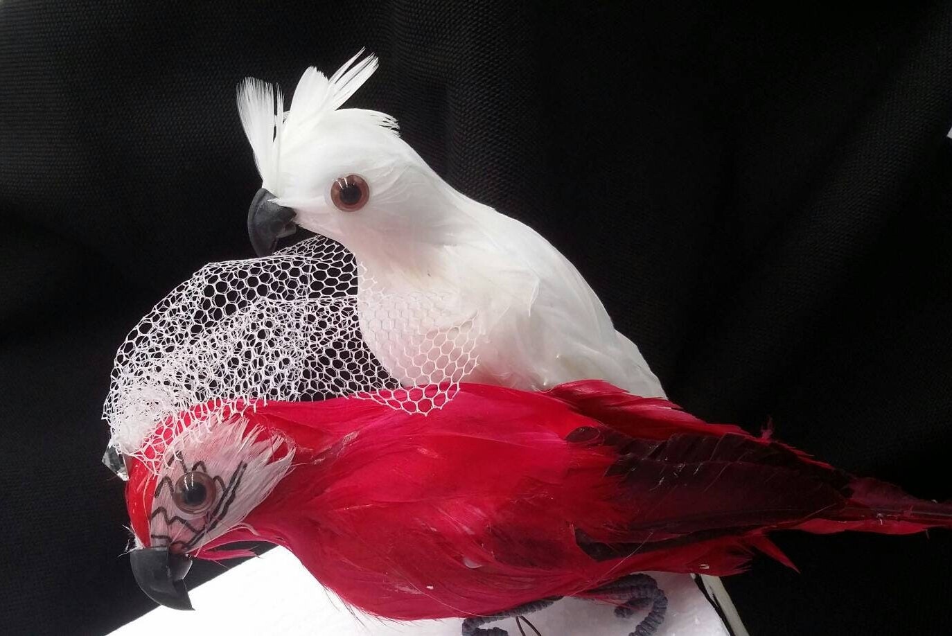 Wedding Cake Topper Centerpiece Two Parrot Birds With Real - Etsy