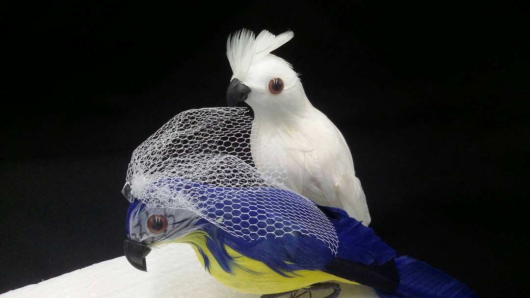 Wedding Cake Topper, Centerpiece, Two Parrot Birds With Real Feathers ...