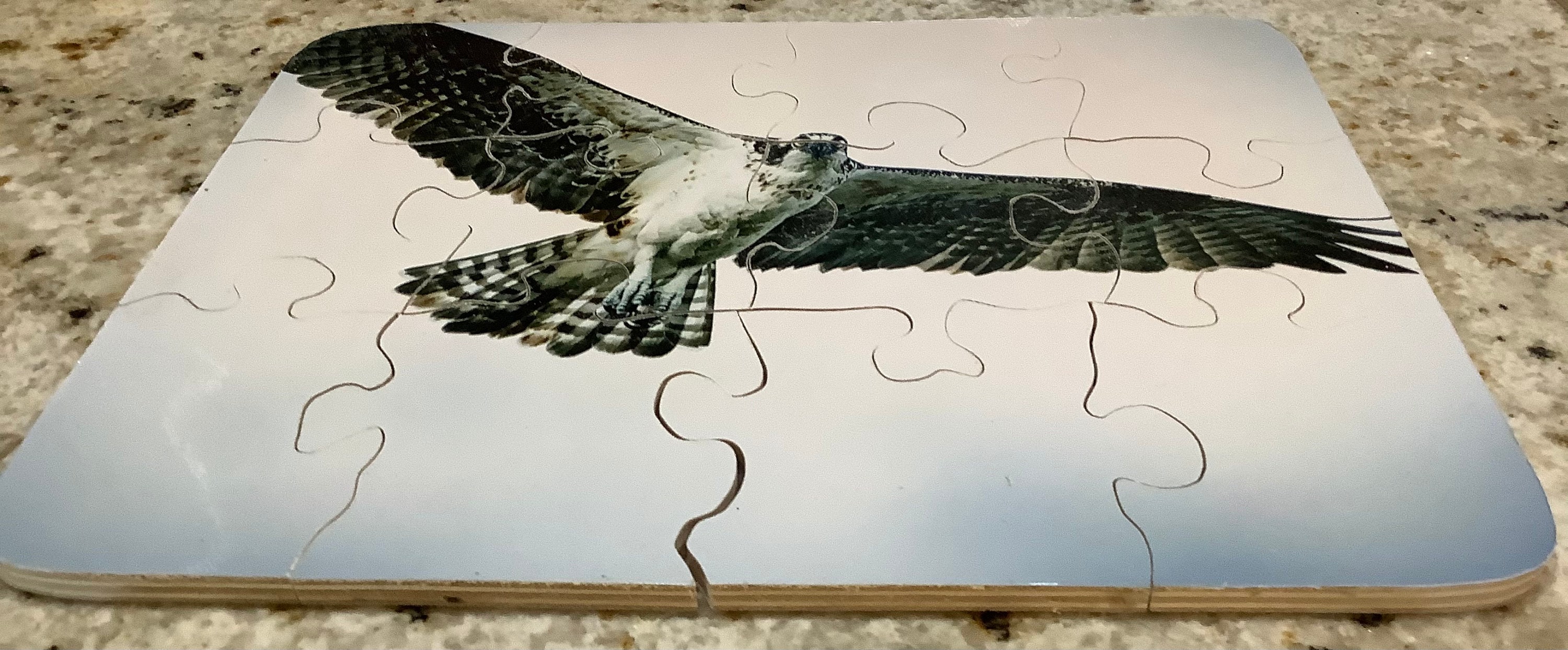 8 X 10 Animal Jigsaw Preschool Hawk Wooden Montessori Puzzle - Etsy
