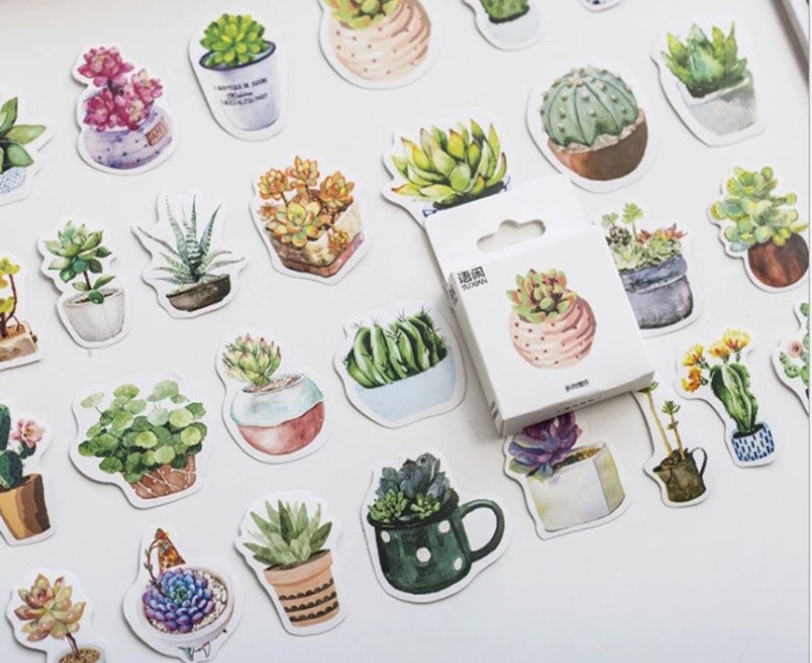 Stickers Cactus | Etsy