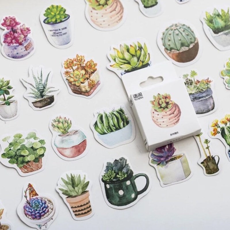 Cactus Stickers - Etsy