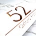 K Smart Sign | Laser Cut Matt White & Copper Mirror Personalised Door ...