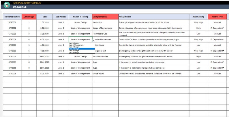 Internal Audit Excel Template: Audit Dashboard & Report - Etsy
