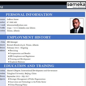 Resume Template | Excel Template | CV Template | Professional Resume ...