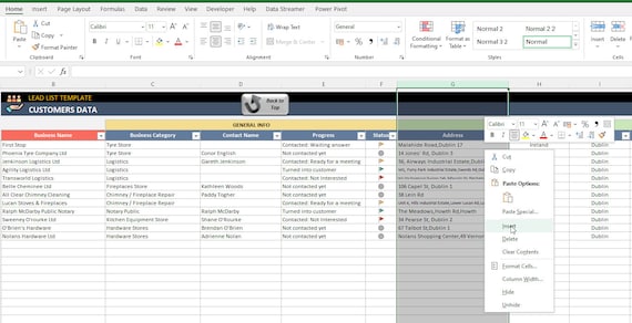 Customer Database Excel Template