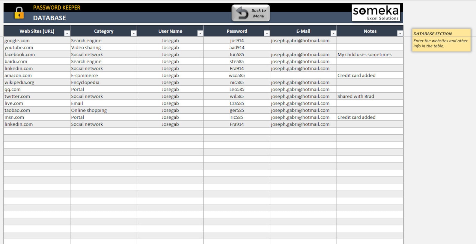 Wachtwoord Keeper Excel-sjabloon Wachtwoordtracker - Etsy Nederland