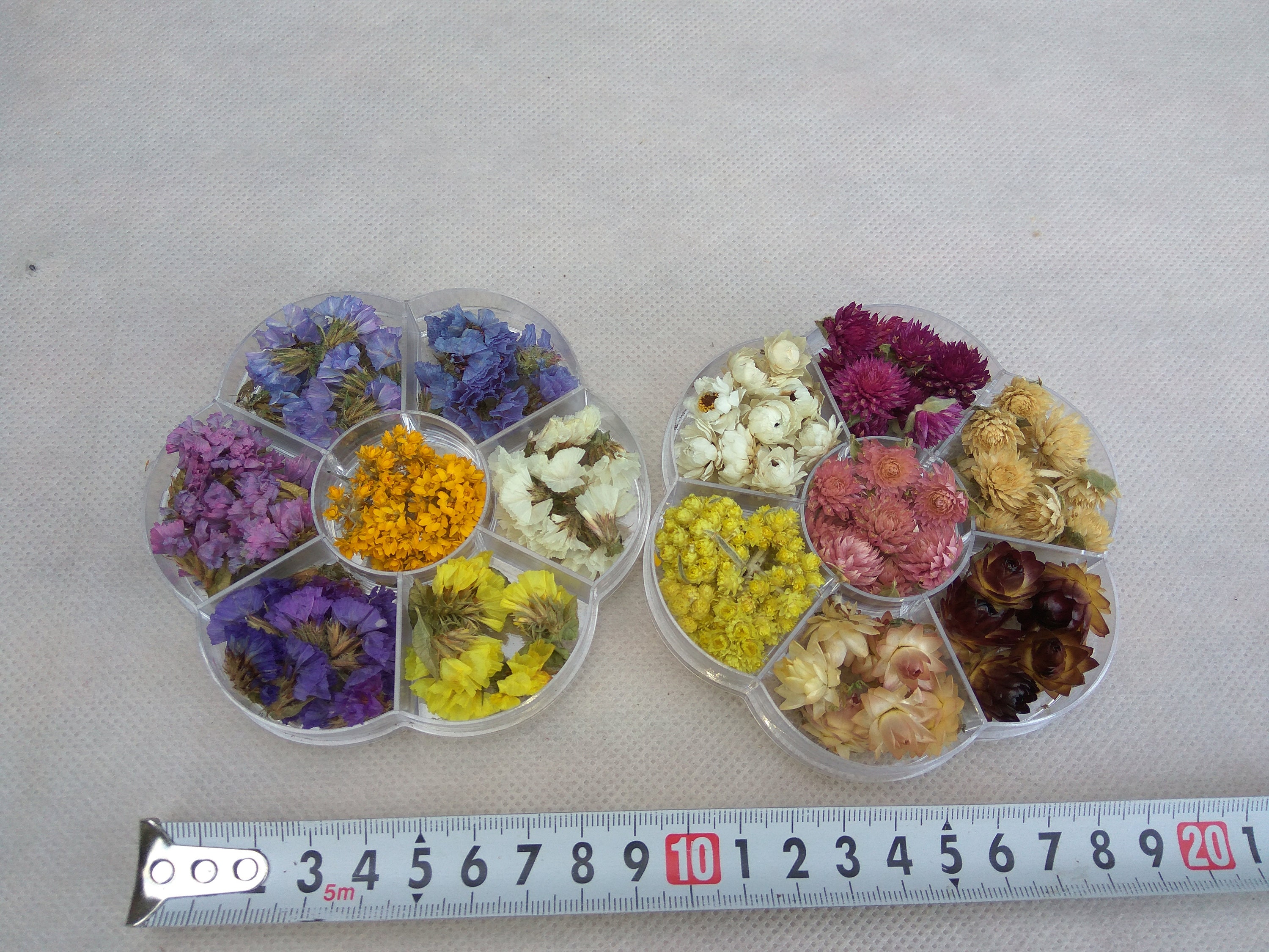 Set of Dried Mini Flowersmini Flowers Boxresin Jewelry - Etsy