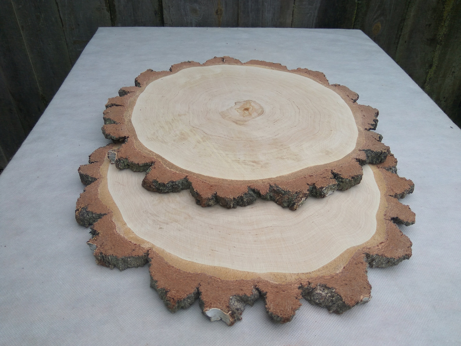 16-17 Inch Wood Slice Birch Wood Slice | Etsy