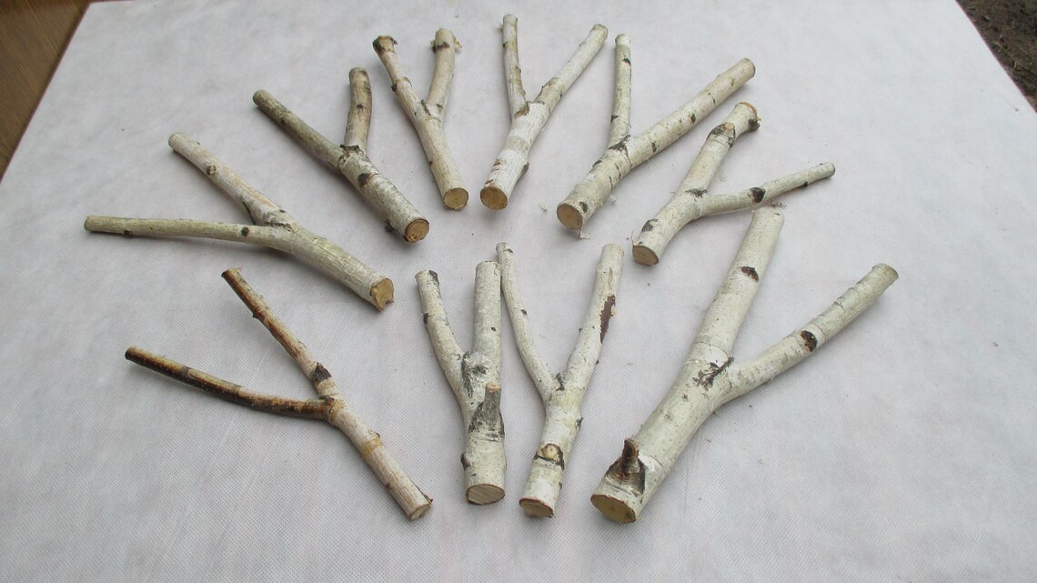 10 forked wood sticks birch sticks White Birch branches | Etsy