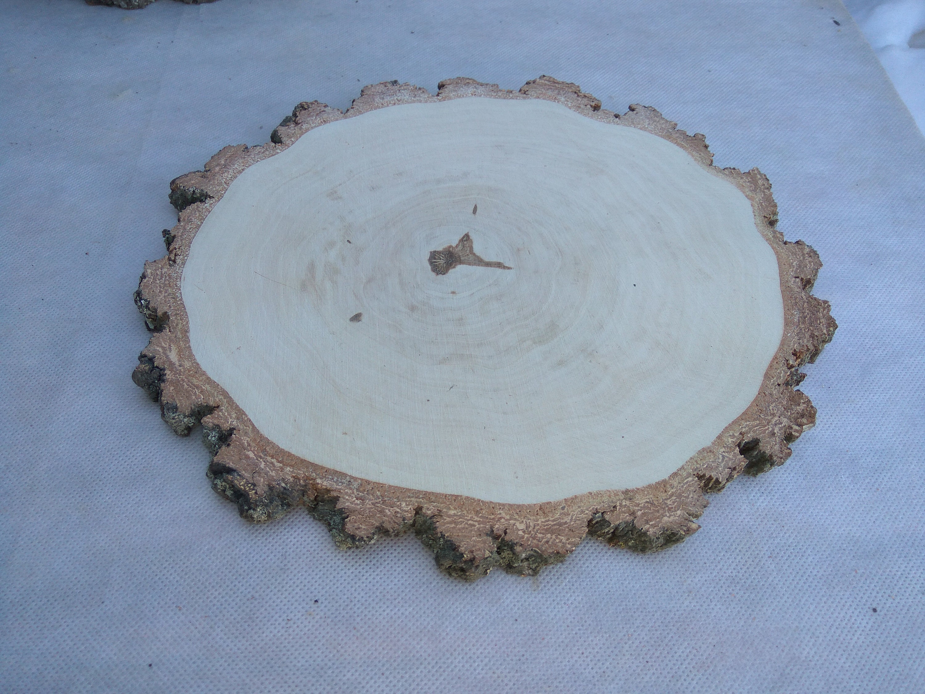 1012 Birch Wood Slice 10-12 Inch Wood Slice - Etsy