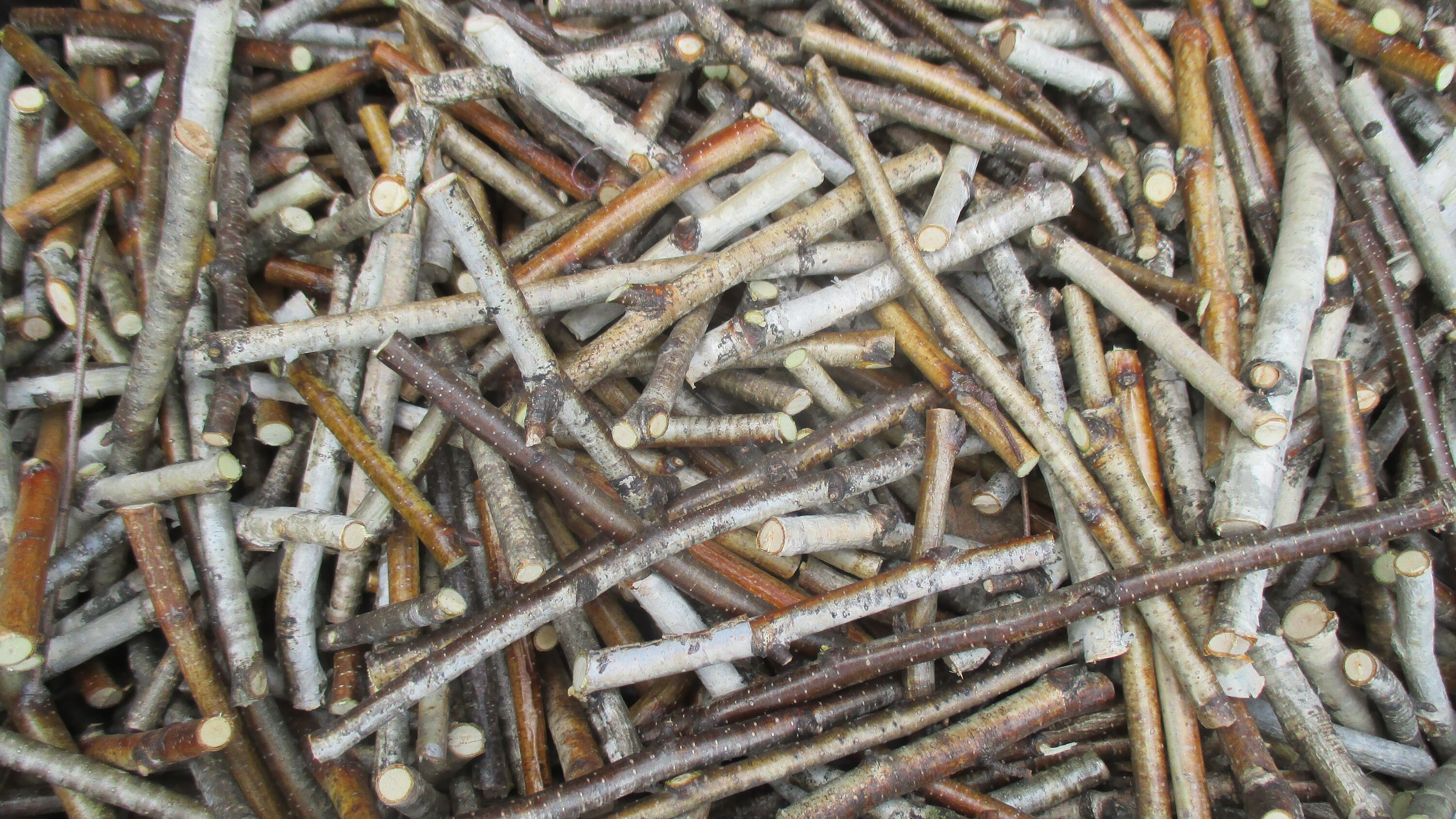 50 Small Birch Wood Sticks, Craft Twigs, Vase Fillers - Etsy