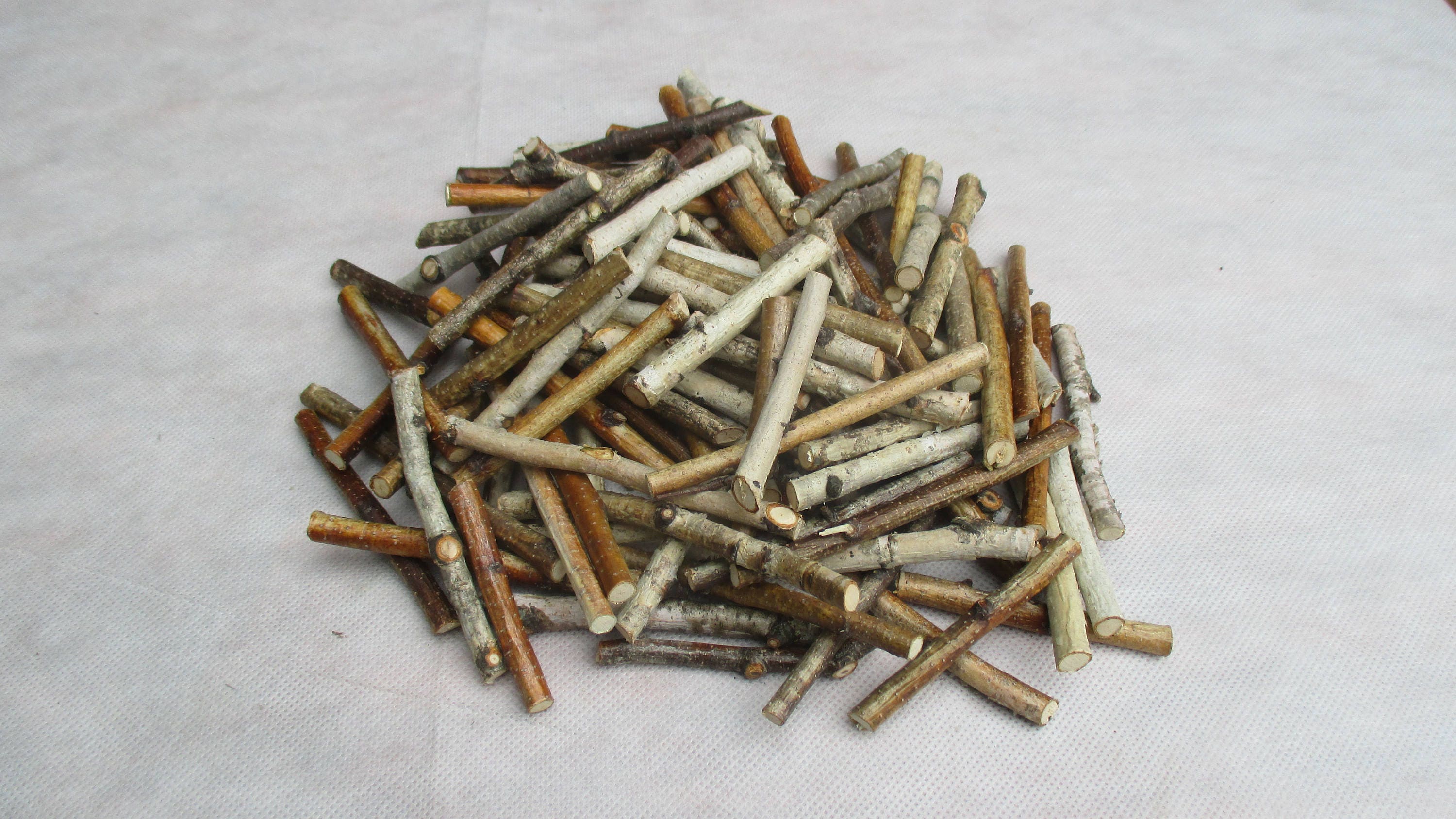 Birch Sticks 100 Small Birch Wood Sticks Birch Branches - Etsy UK