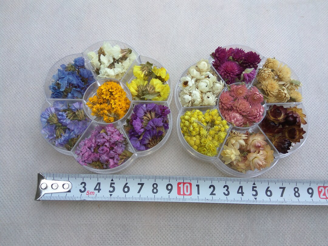 Set of Dried Mini Flowers,mini Flowers Box,resin Jewelry Supply,epoxy ...