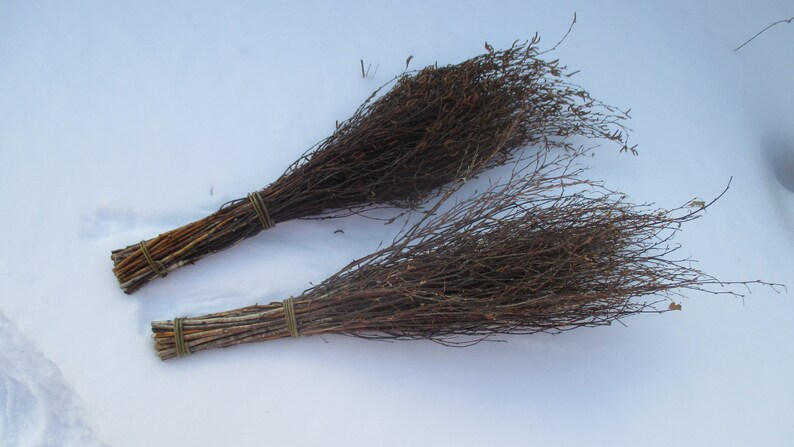 Extra Long Birch Twigs Birch Twigs Birch Tree Branches - Etsy