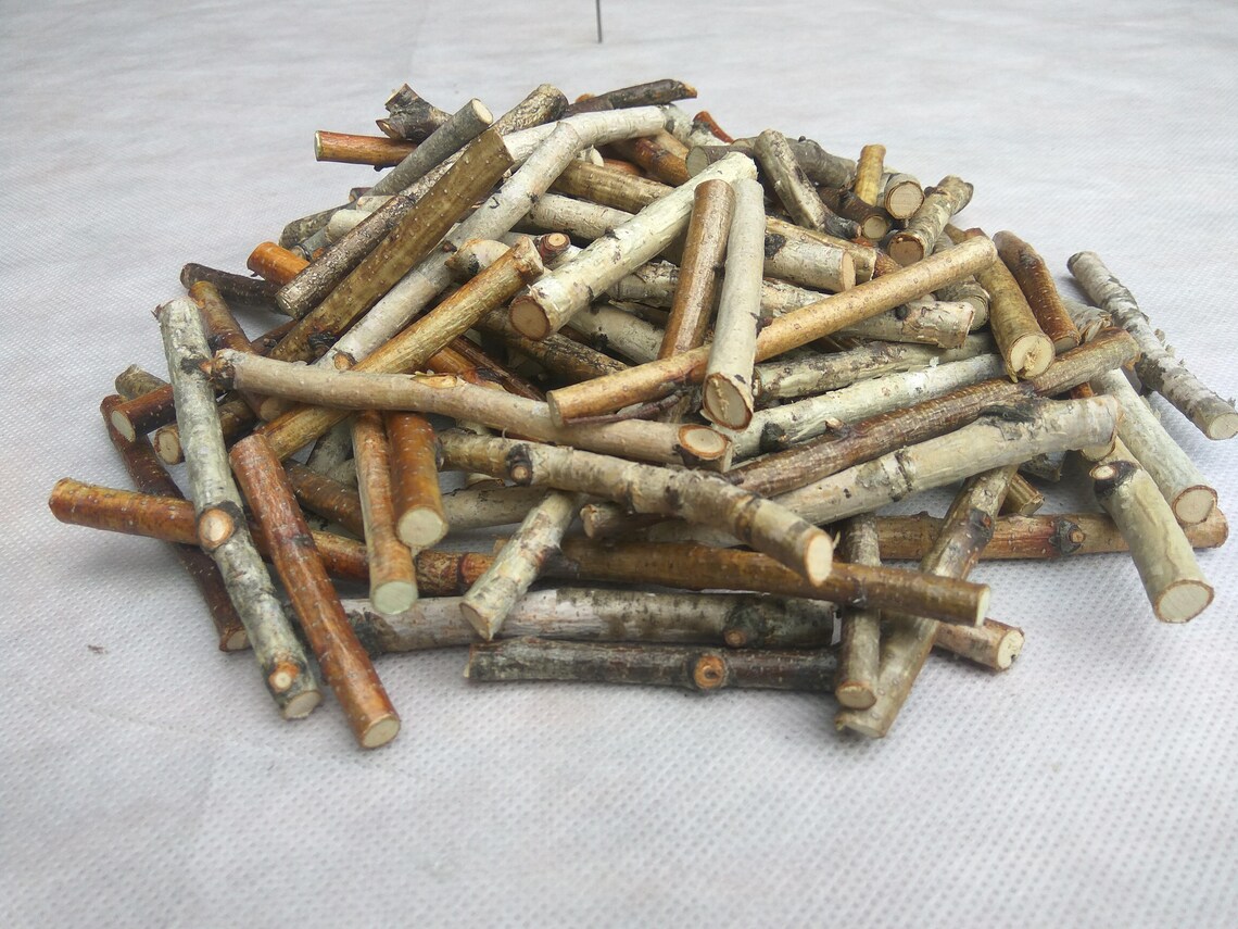 Birch sticks 100 small birch wood sticks Birch branches | Etsy