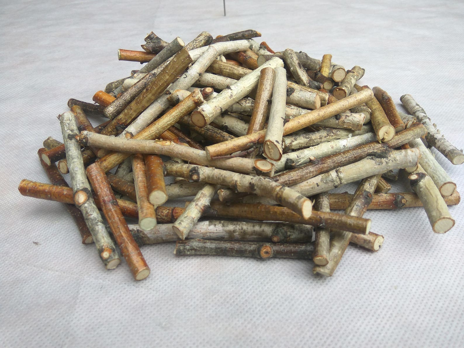 Birch sticks 100 small birch wood sticks Birch branches | Etsy