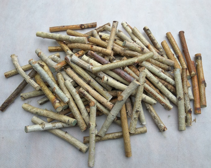 Extra Long Birch Twigs, Birch Twigs, Birch Tree Branches, Birch Twigs ...