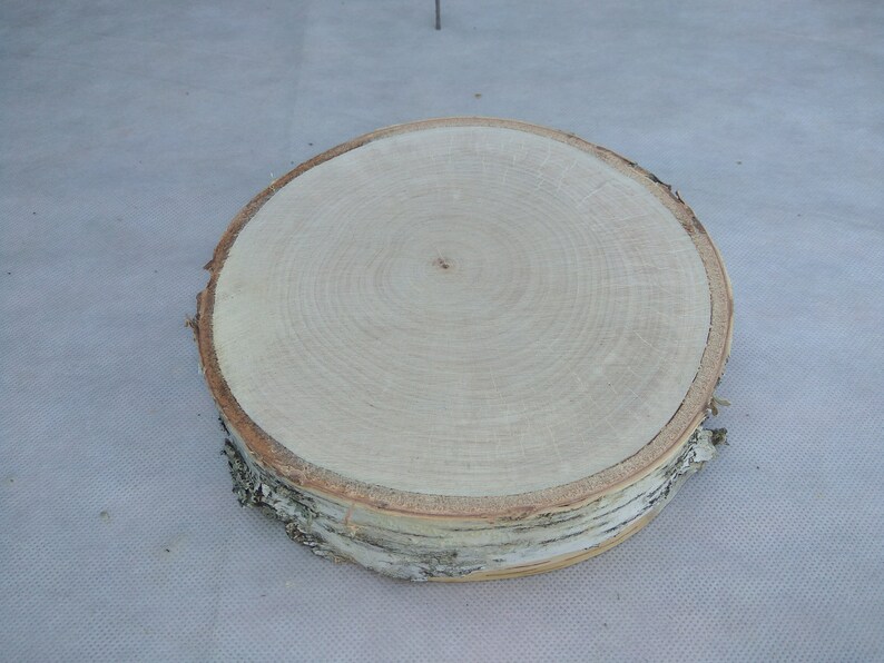 78 White Birch Wood Slice 7-8 Inch Wood Slab - Etsy