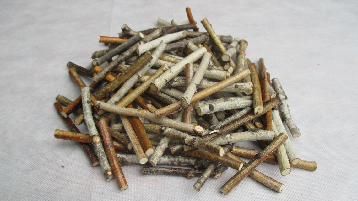 Birch Sticks 100 Small Birch Wood Sticks Birch Branches - Etsy