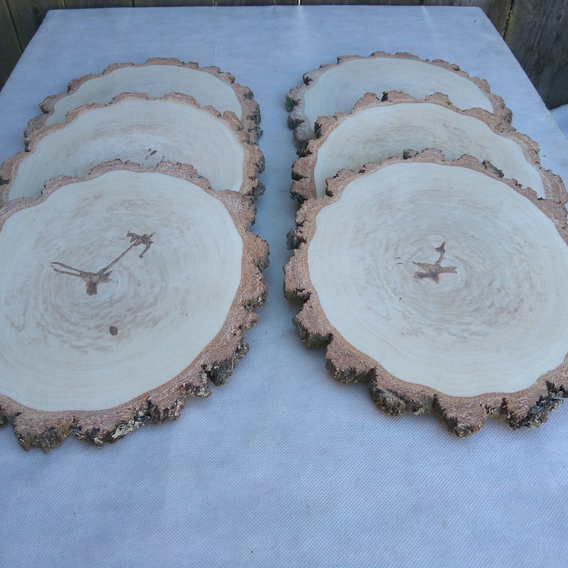 12 Inch Wood Slices - Etsy