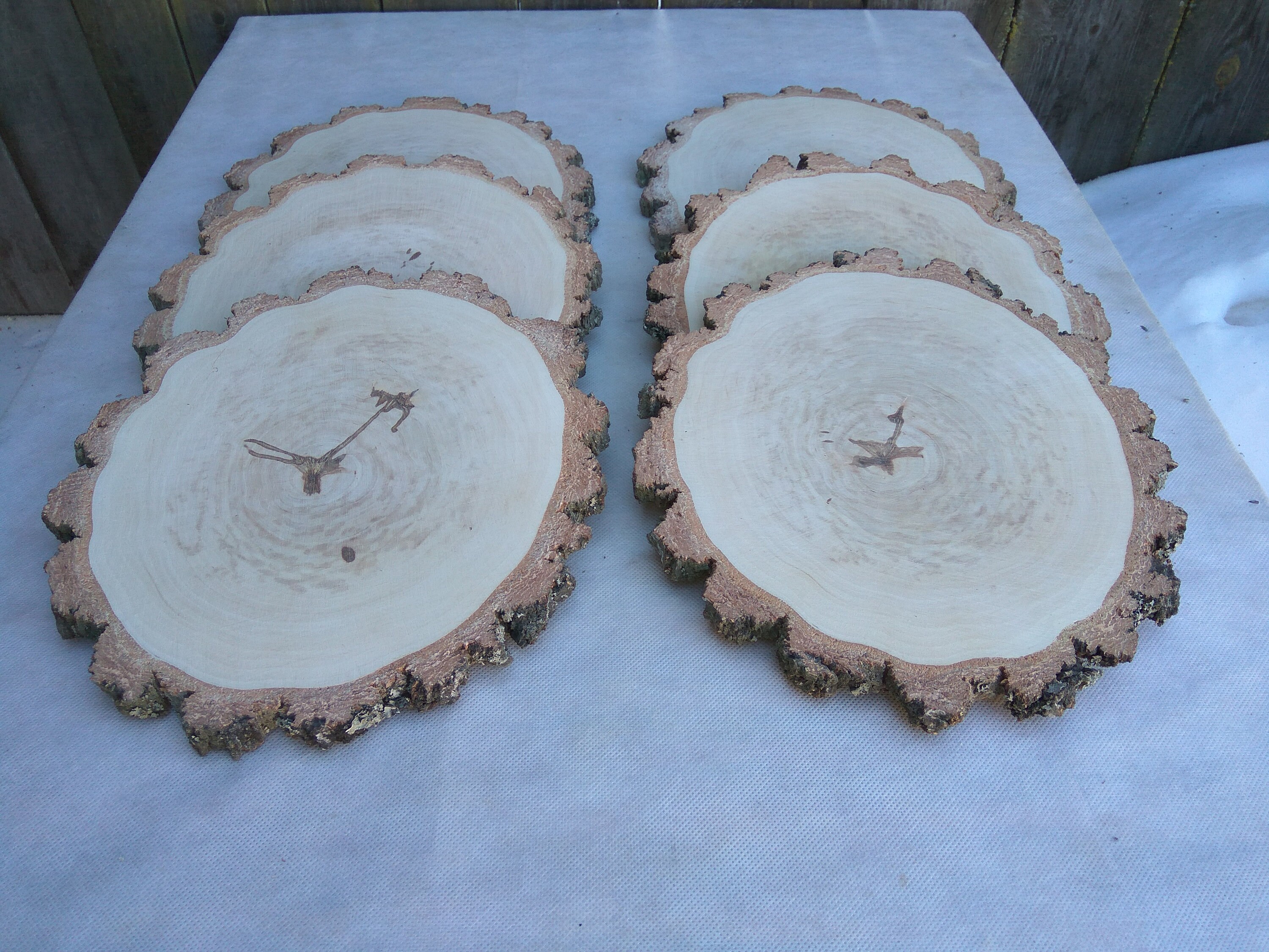 1012 Birch Wood Slice 10-12 Inch Wood Slice - Etsy