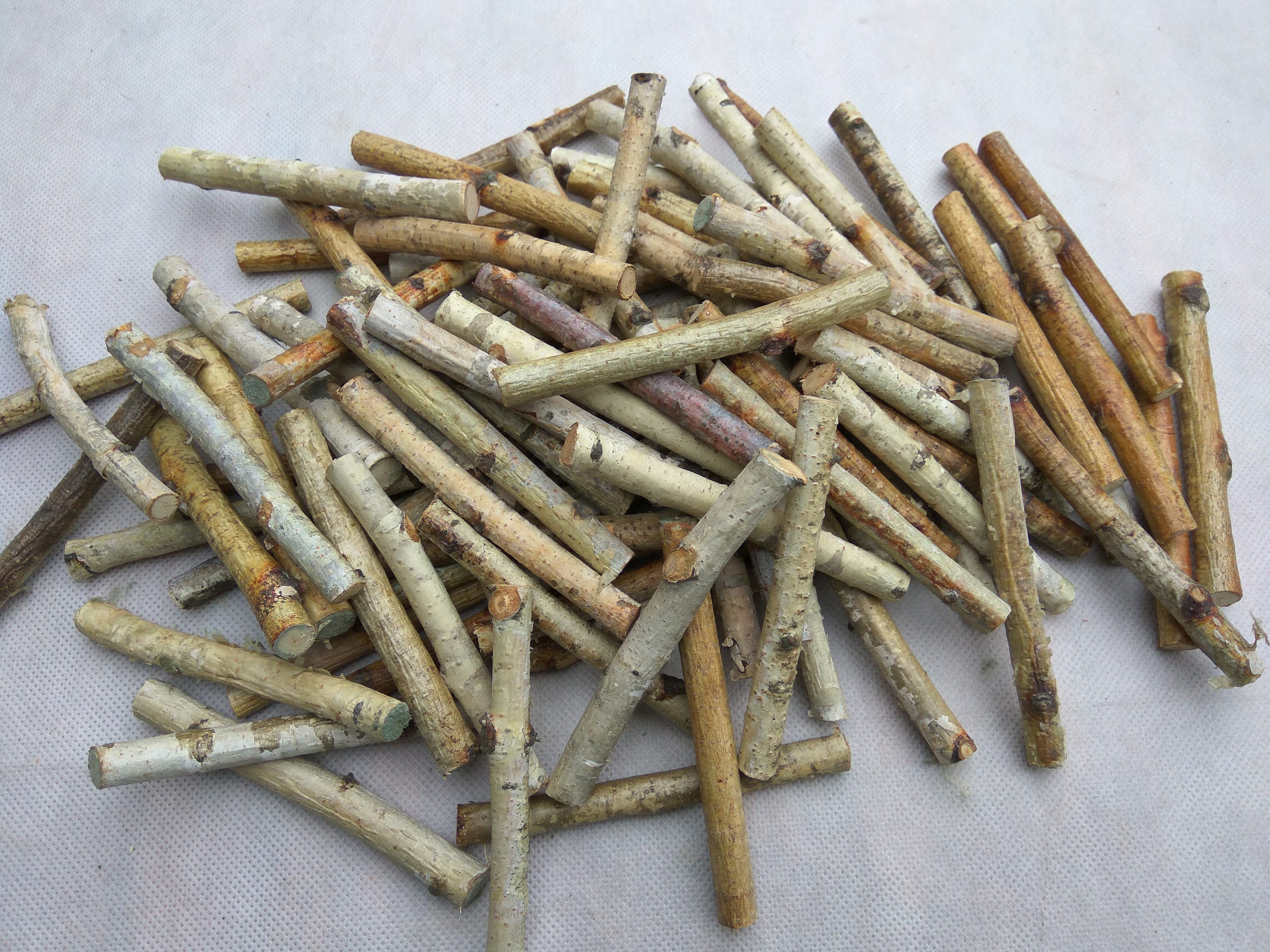 Birch sticks 50 small birch wood sticks White Birch branches - Etsy ...