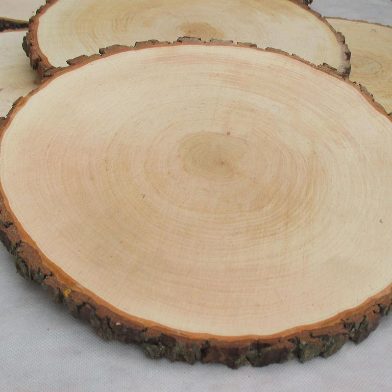 Rustic Wood Slices - Etsy