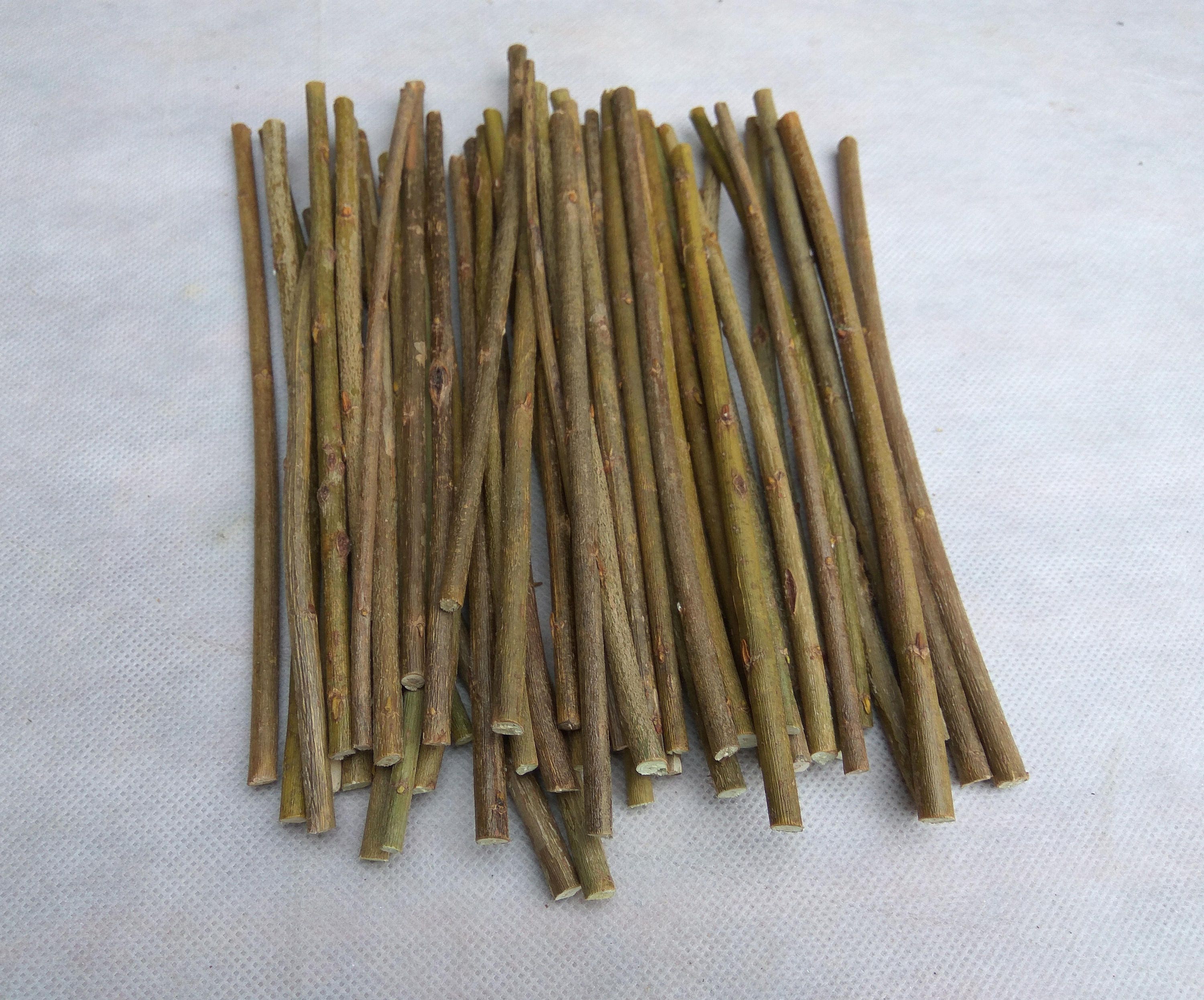 Willow twigs willow sticks | Etsy