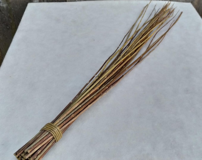 Extra Long Birch Twigs, Birch Twigs, Birch Tree Branches, Birch Twigs ...