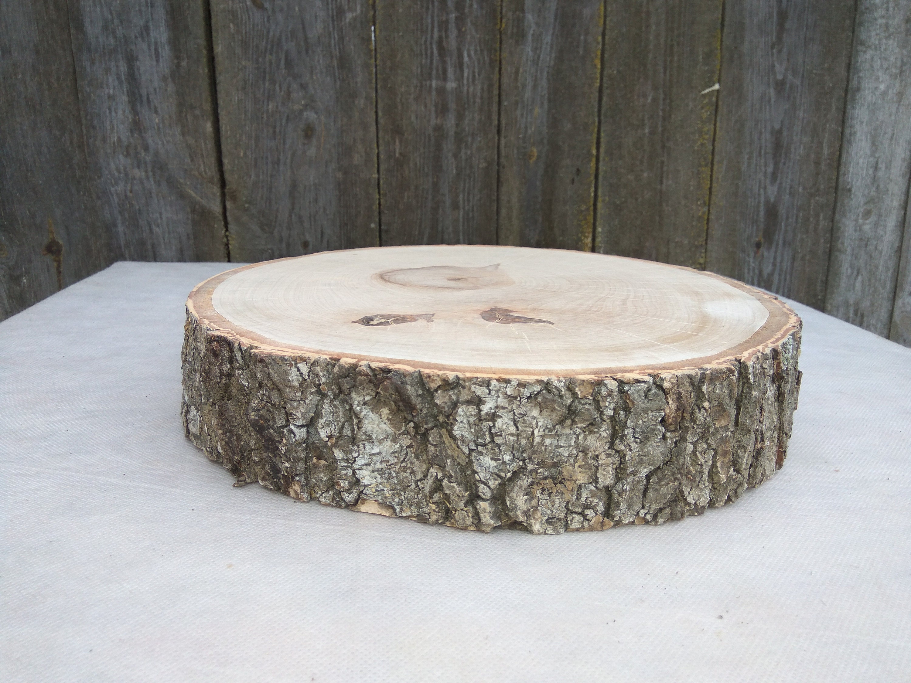 12-13 Inch Birch Wood Slice 1213 Wood Slice - Etsy