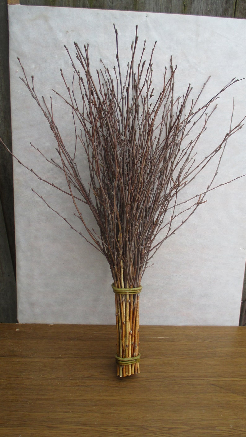 Birch Besom Birch Tree Branches Birch Twigs Bundle - Etsy