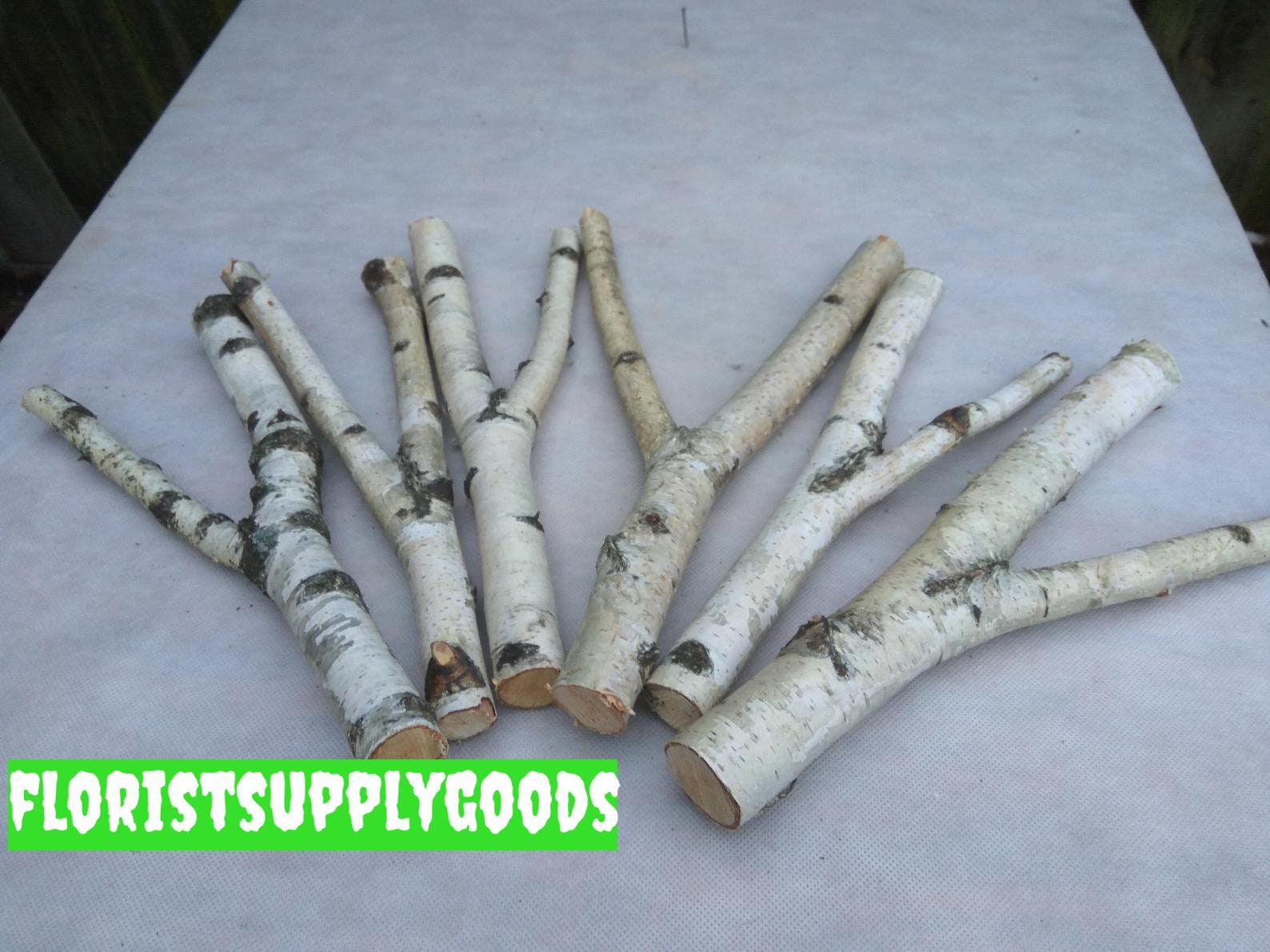 6 Large Forked Wood Sticks, Birch Sticks, Wood Decor, Birch Log, White ...