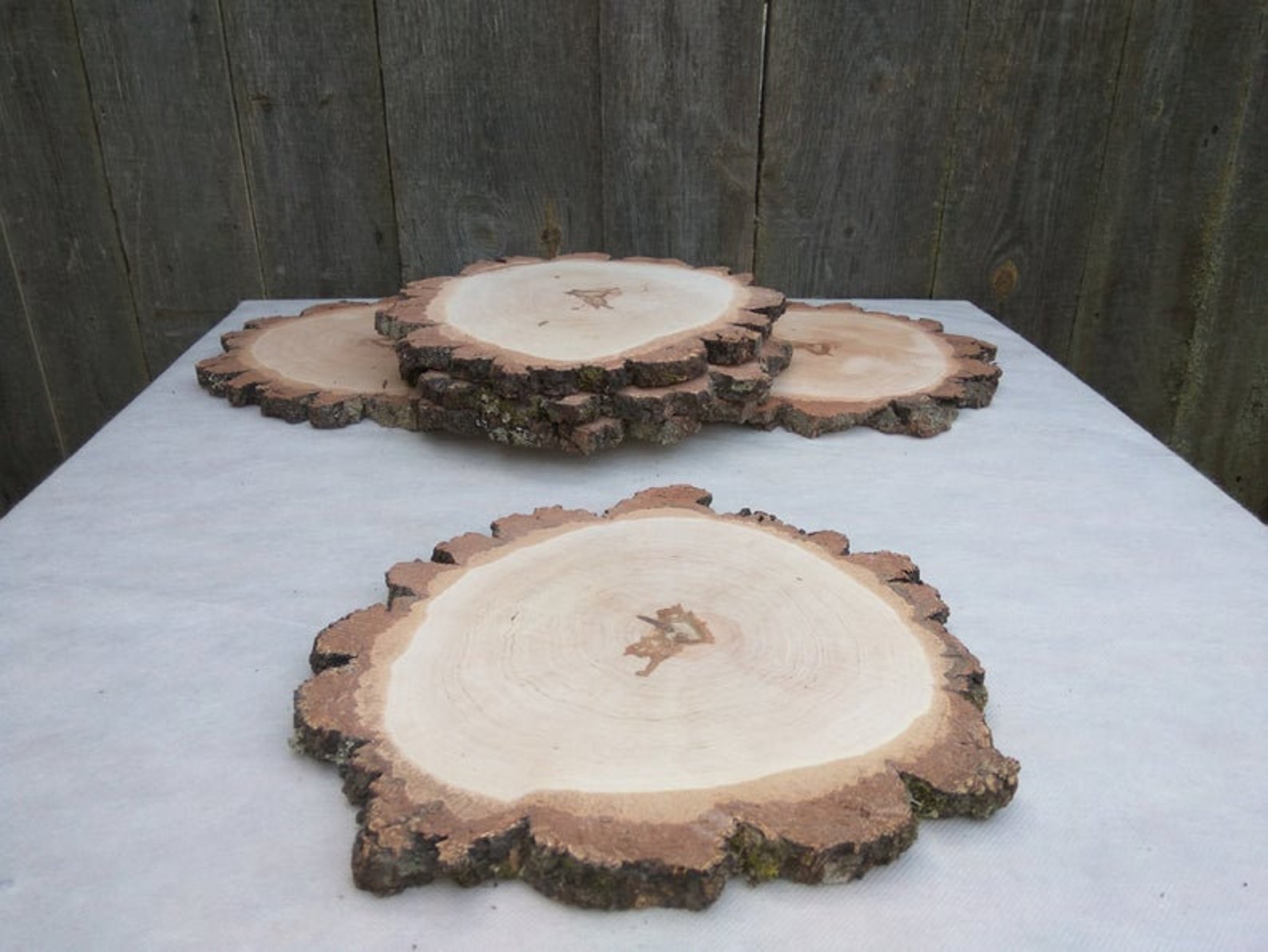 1011 Birch Wood Slice Approx. 10-11 Inch Wood - Etsy