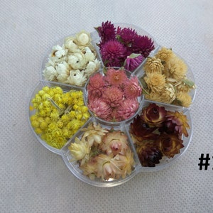 Set of Dried Mini Flowers,mini Flowers Box,resin Jewelry Supply,epoxy ...