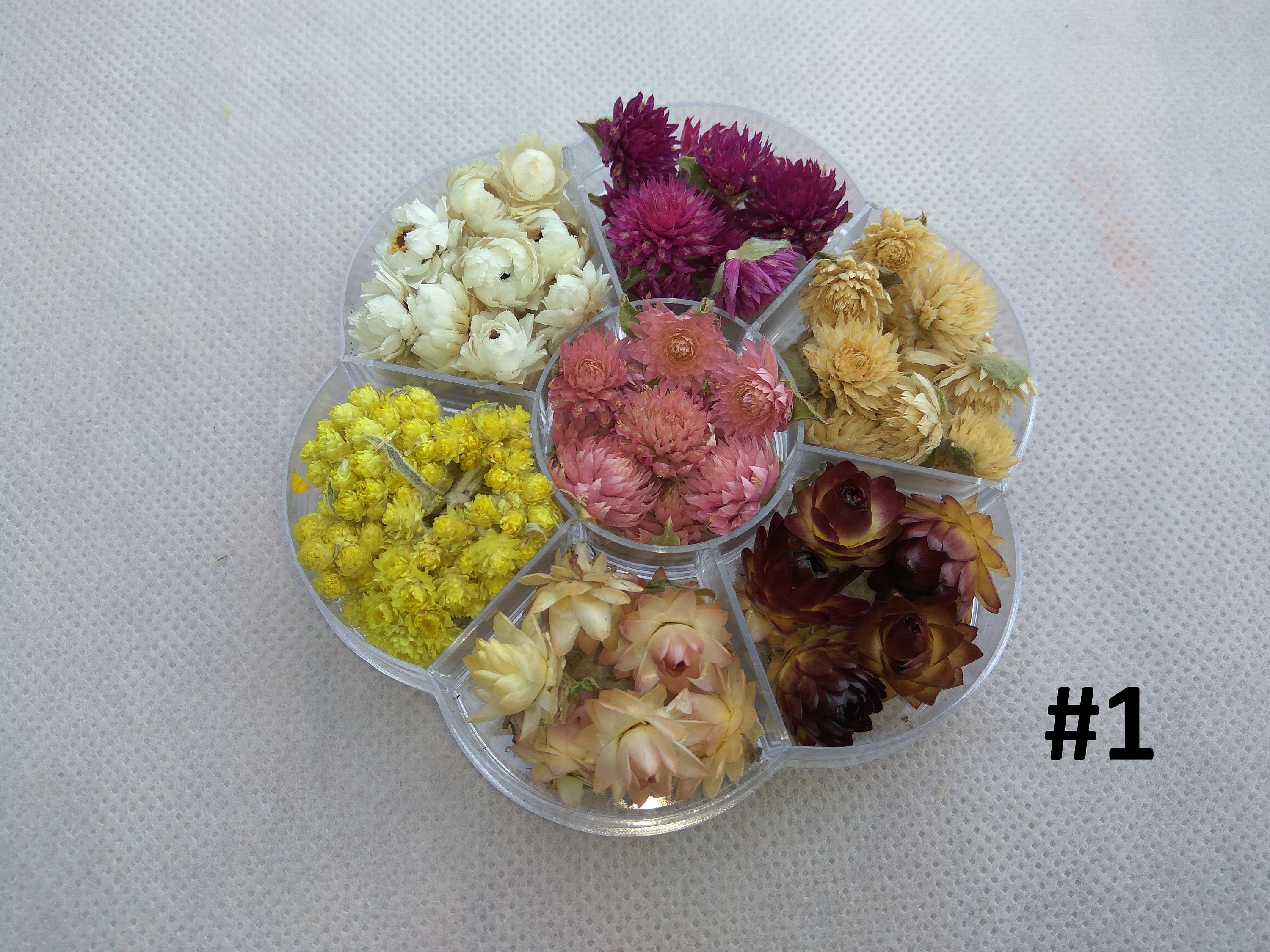 Set of Dried Mini Flowersmini Flowers Boxresin Jewelry - Etsy