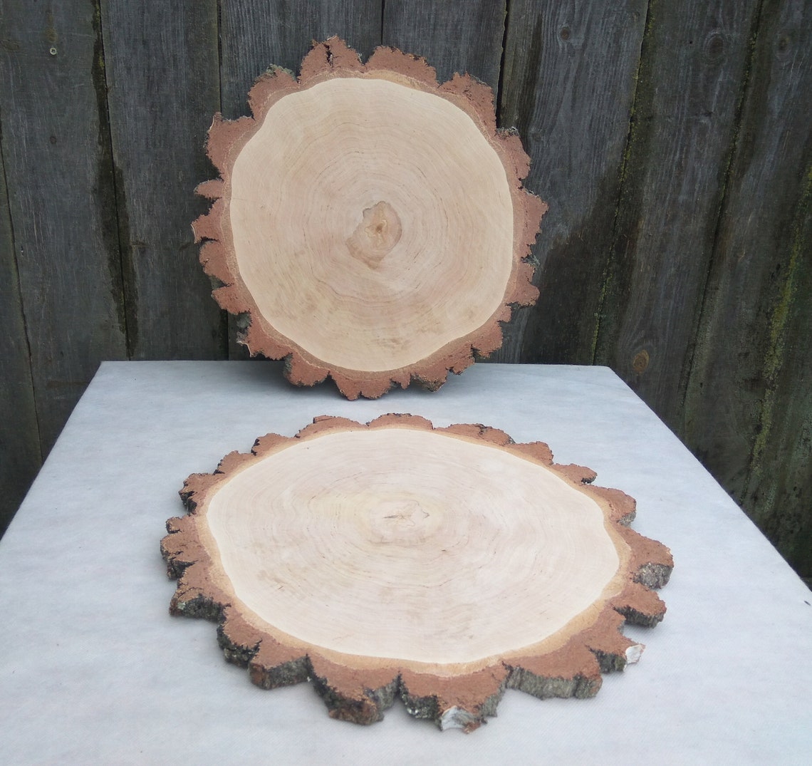 16-17 inch wood slice Birch Wood Slice | Etsy